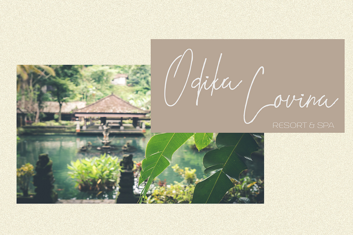 Whitley - Signature Typeface, a Handwritten Font by Arendxstudio