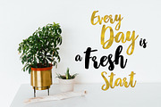 Vision bold script font, a Script Font by doffdog