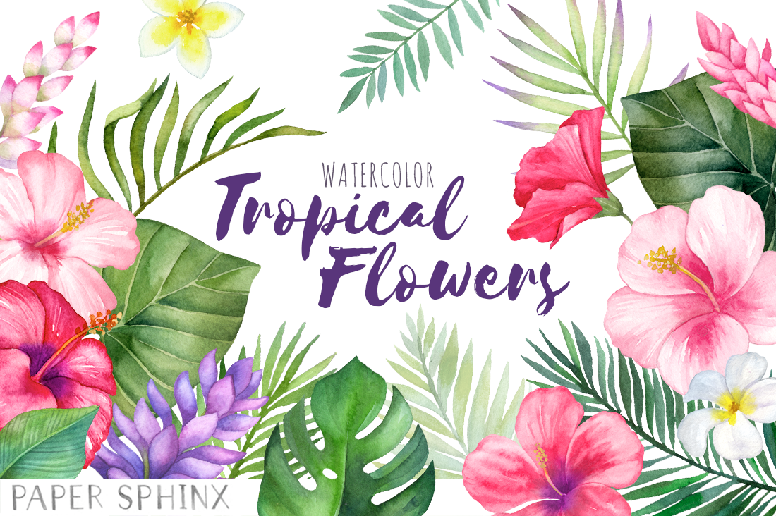 Watercolor Tropical Flowers Clipart, a Graphic by PaperSphinx