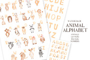 Watercolor Animal Alphabet | Education Illustrations ~ Creative Market
