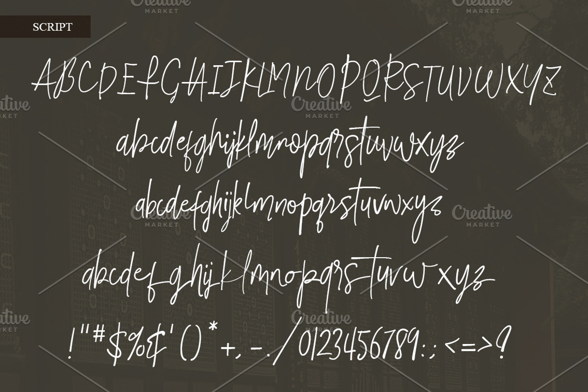 Smalltown handwritten font, a Script Font by alphadesign