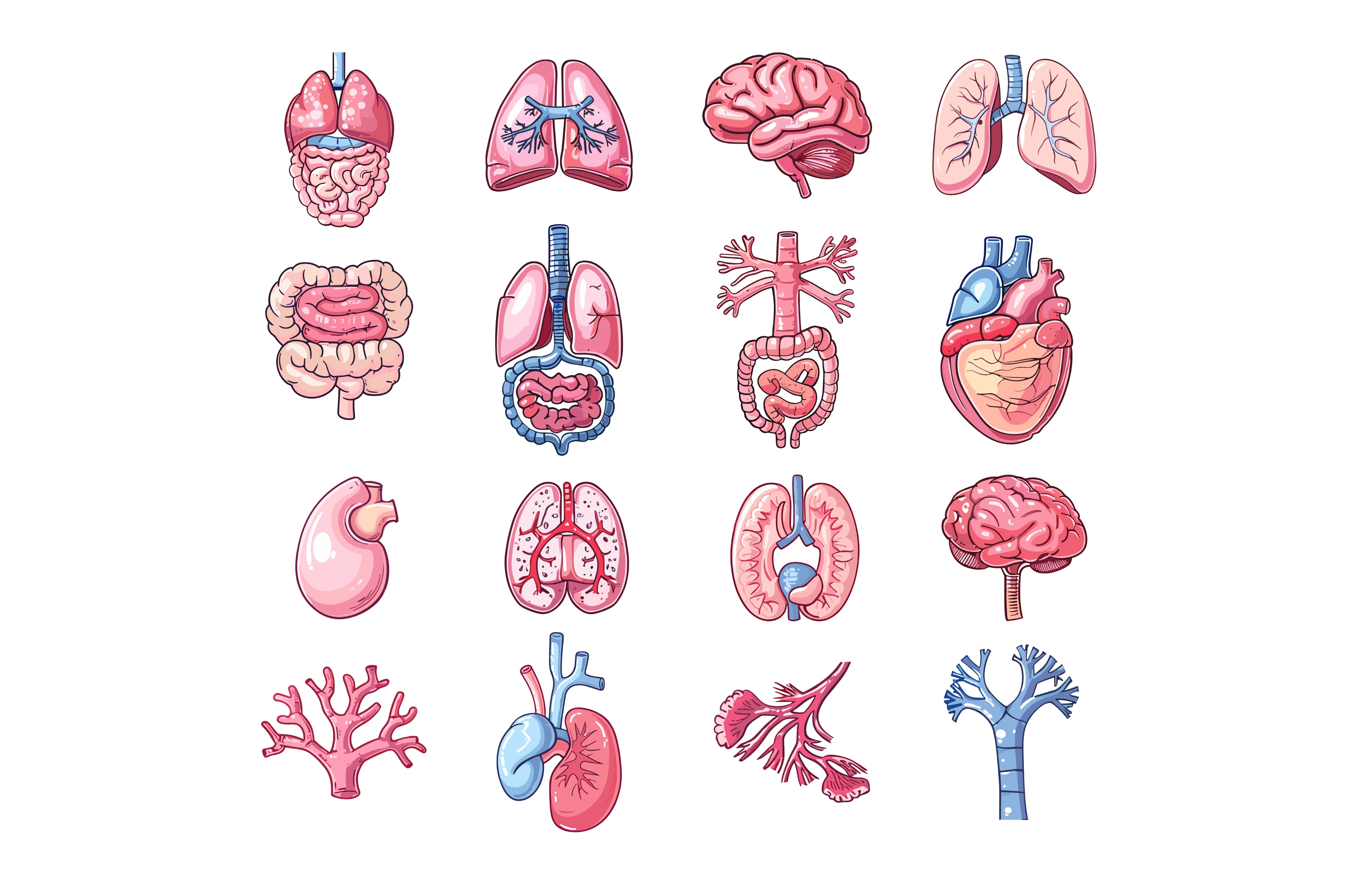 Human organs cartoon vector set | Healthcare Illustrations ~ Creative ...