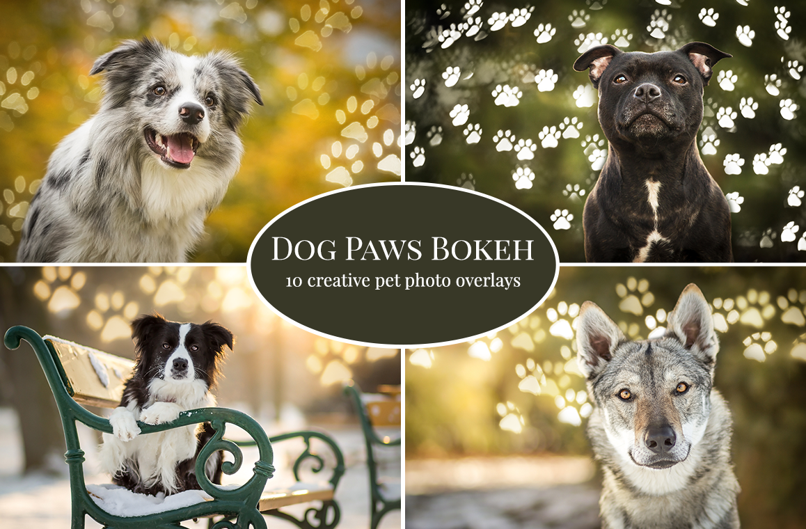 Dog Paws Bokeh photo overlays, an Object Graphic by BrownLeopard