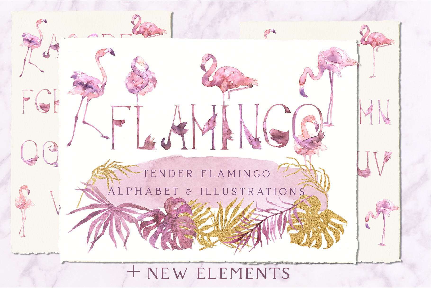 -20% Tender Flamingo Alphabet, an Illustration by Cat In Colour