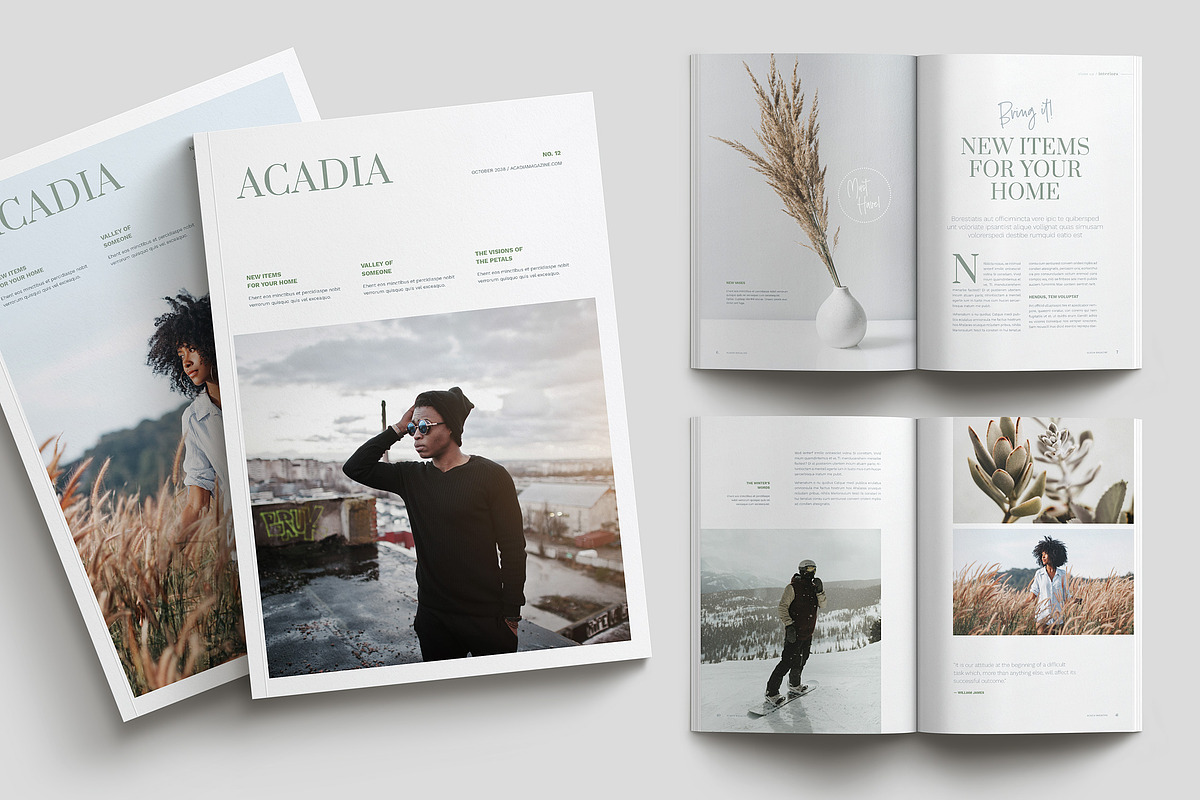 ACADIA Brochure / Magazine, a Brochure Template by Type Here Studio