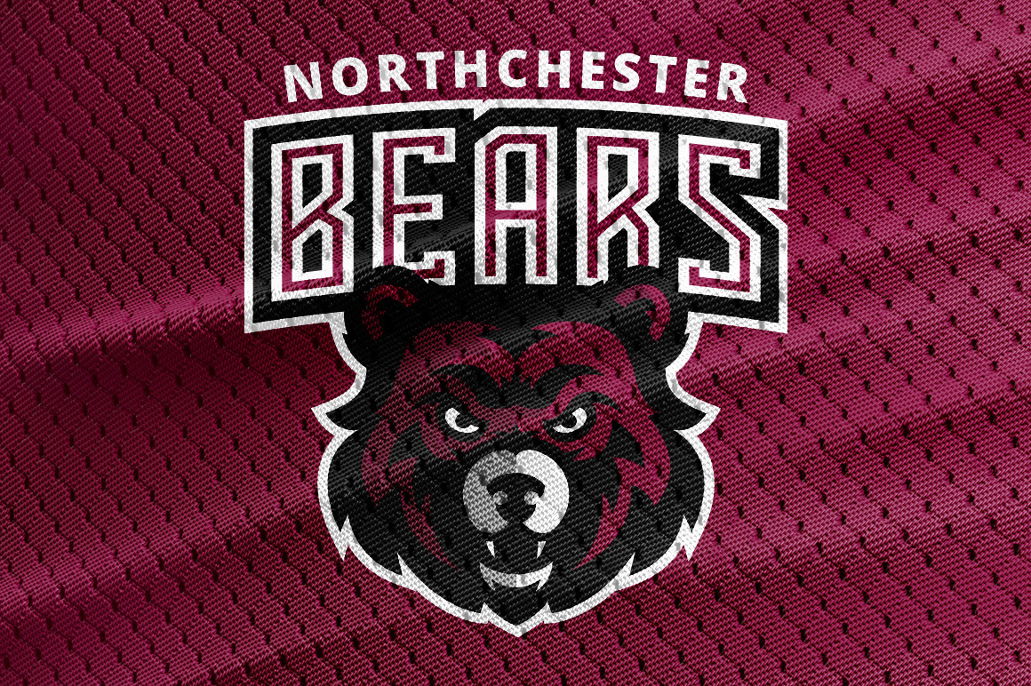 Bears logo, a Graphic by Varsity Logos