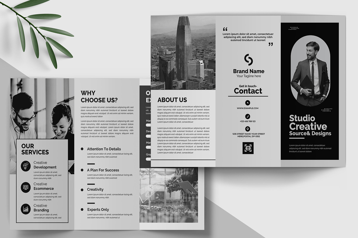 Trifold Brochure Layout