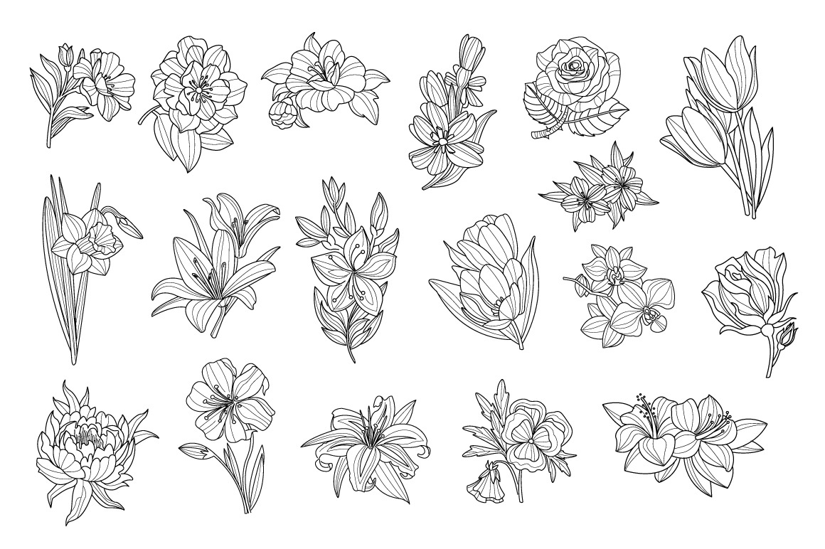Flower Set. Hand Drawn, a Decorative Illustration by TopVectors
