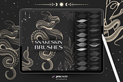 Procreate snake skin brushes, a Brush Add-On by KsTumanova