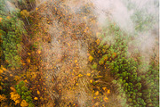 Aerial view of a logging zone cuts, an Industrial Photo by Our Amazing ...