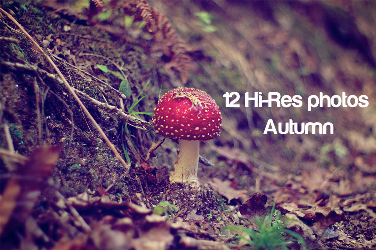 Autumn pack, a Templates & Theme by ApertureVintage