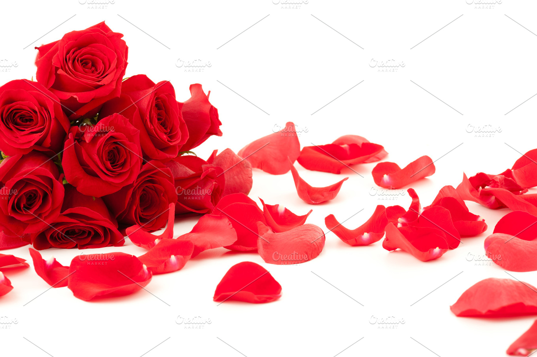 Red roses and petals lying down, a Background Photo by Ernesto Solla ...