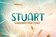 Stuart Font, a Script Font by Carolina Valtuille
