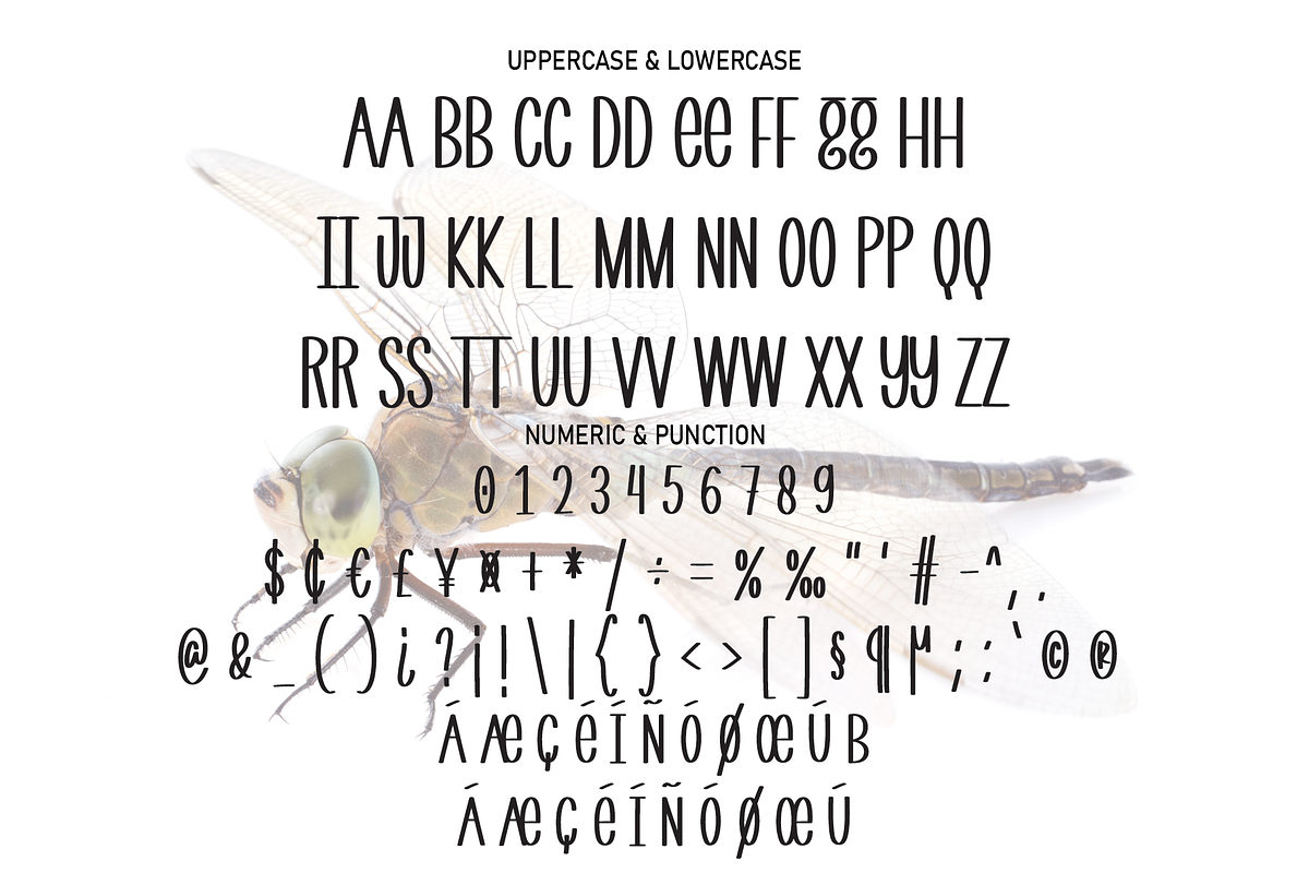 Dragonfly | Script Font, a Script Font by Scratchones