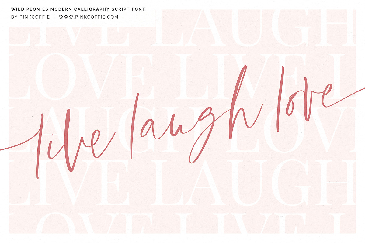 Wild Peonies | Stylish Modern Font, a Script Font by Pink Coffie
