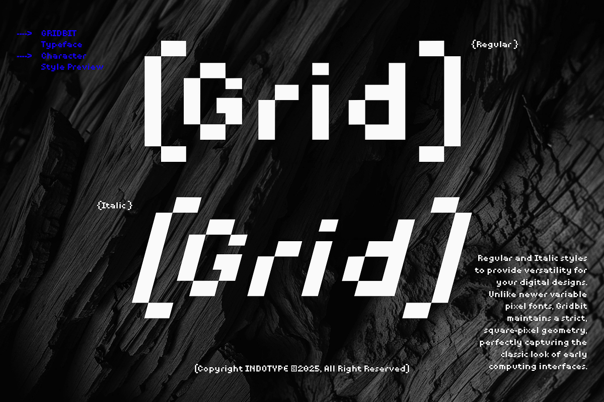 Gridbit - Bitmap Pixel Font, a Symbol Font by Indotype Foundry