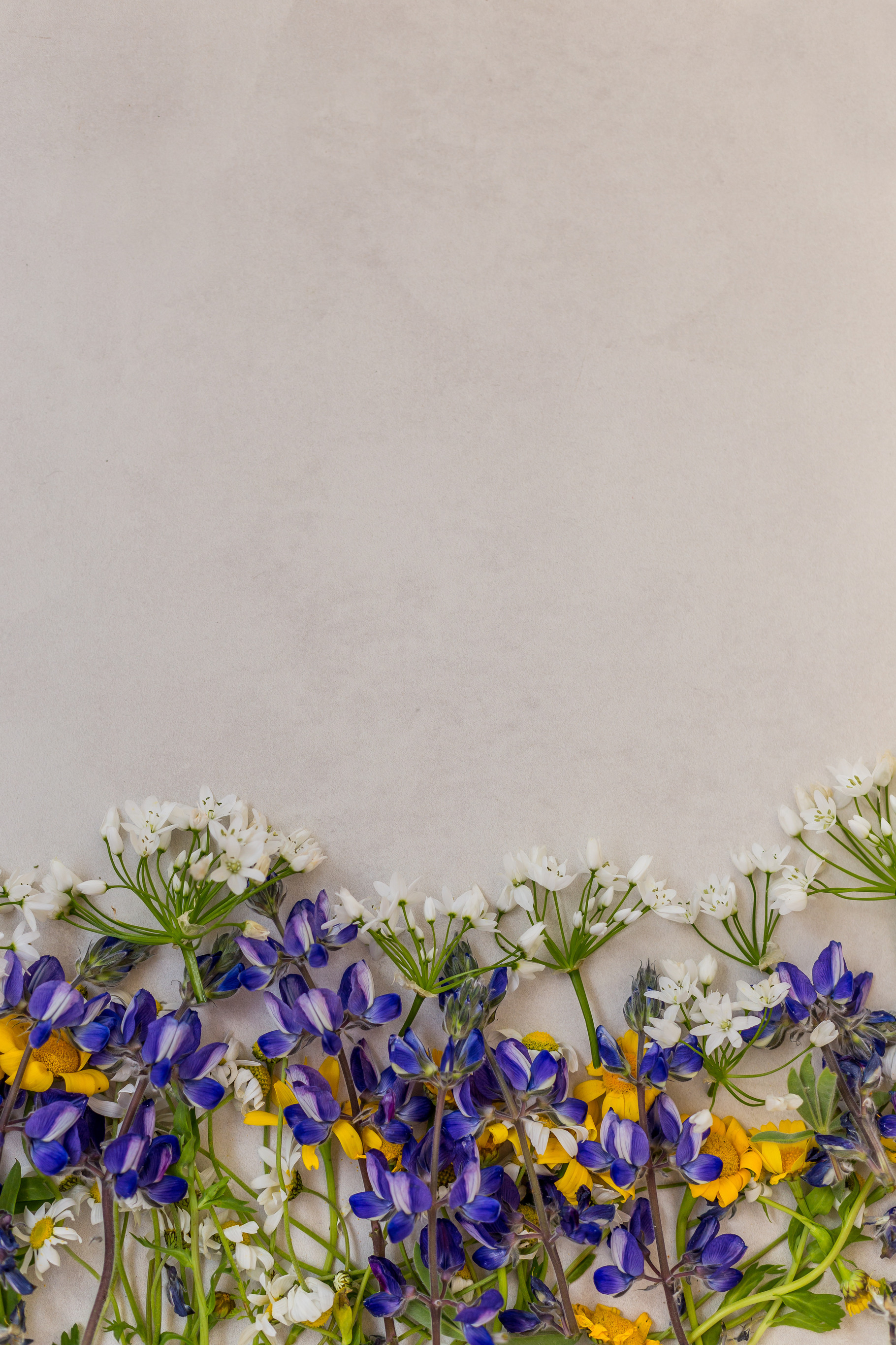 Spring textures concept, an Abstract Photo by saidanabi