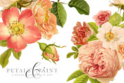 Flower Power Mega Bundle Vol 2, an Illustration by Eclectic Anthology