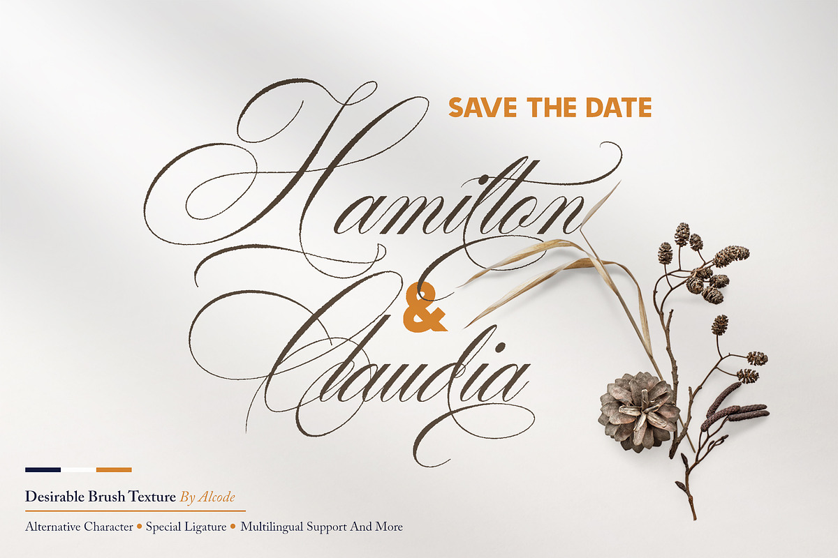 Desirable Brush Texture, a Script Font by Alcode