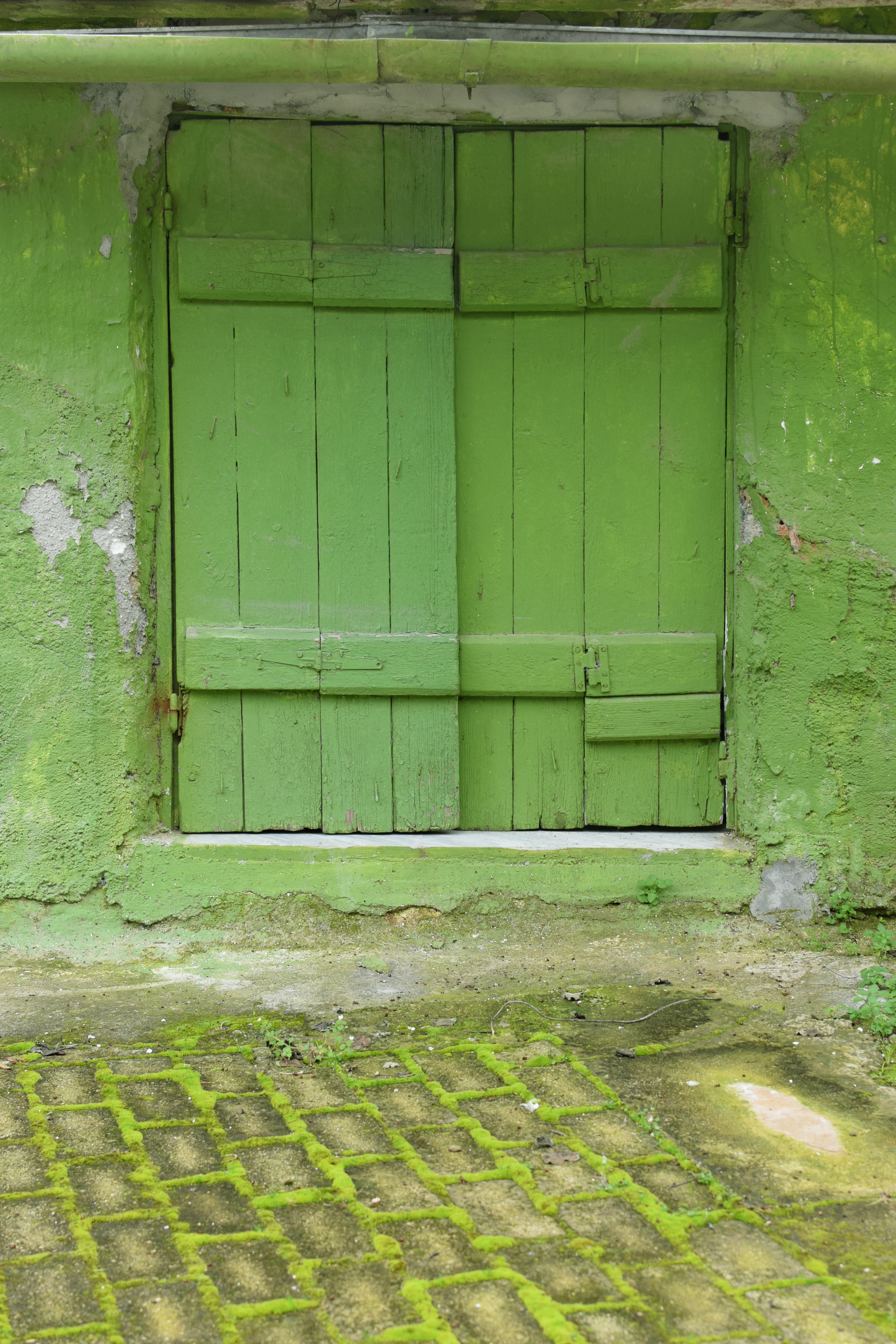 Green Window Moss | Architecture Stock Photos ~ Creative Market