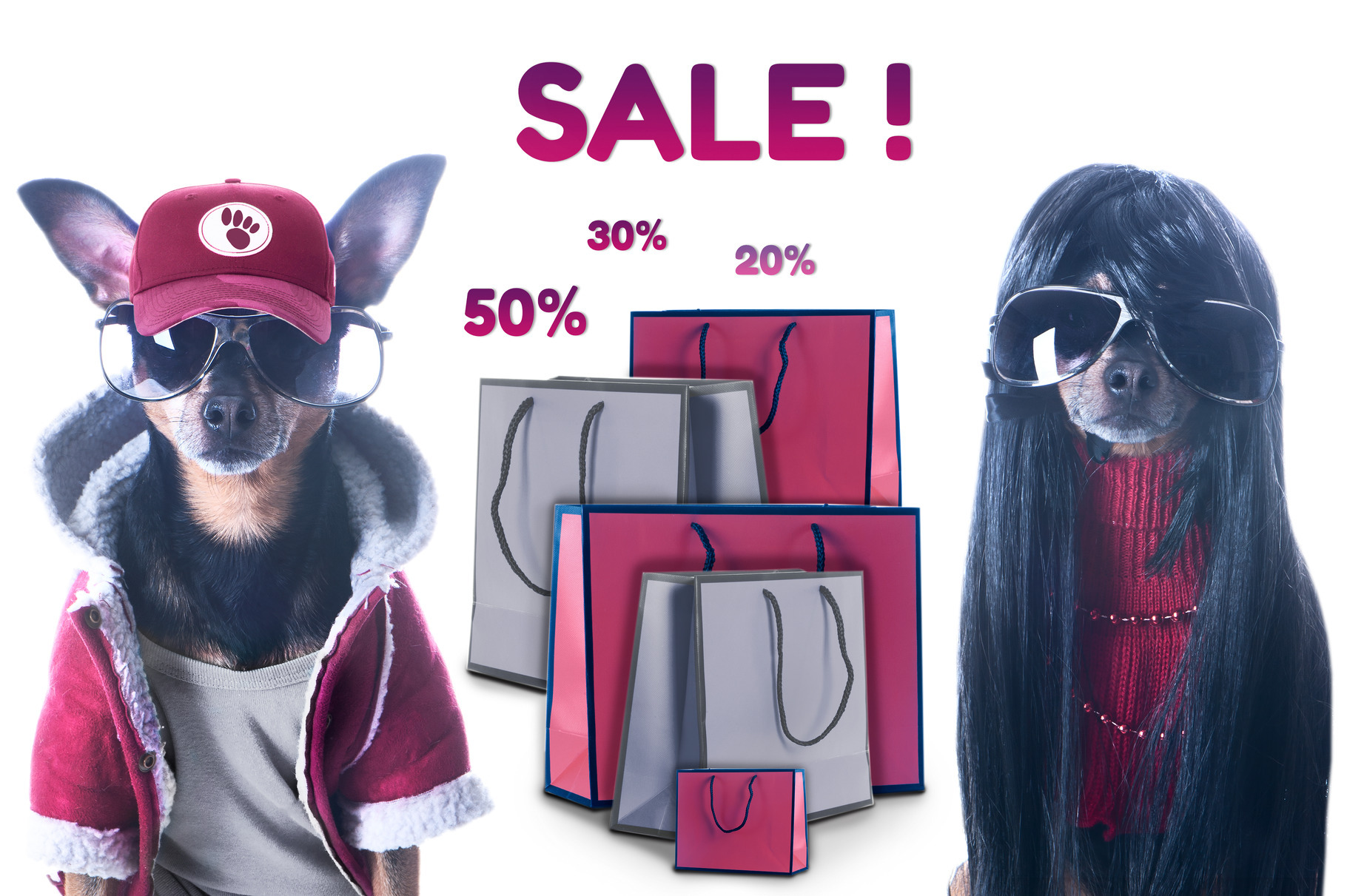 Shopping concept and sales stock photo containing shopping and dog, an ...