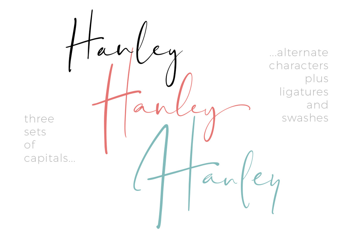 Sonneta Script, a Script Font by DISTRICT 62 STUDIO