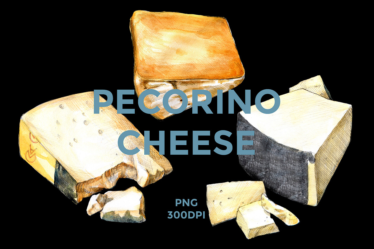 PECORINO ROMANO CHEESE WATERCOLOR, a Food Illustration by wedraw