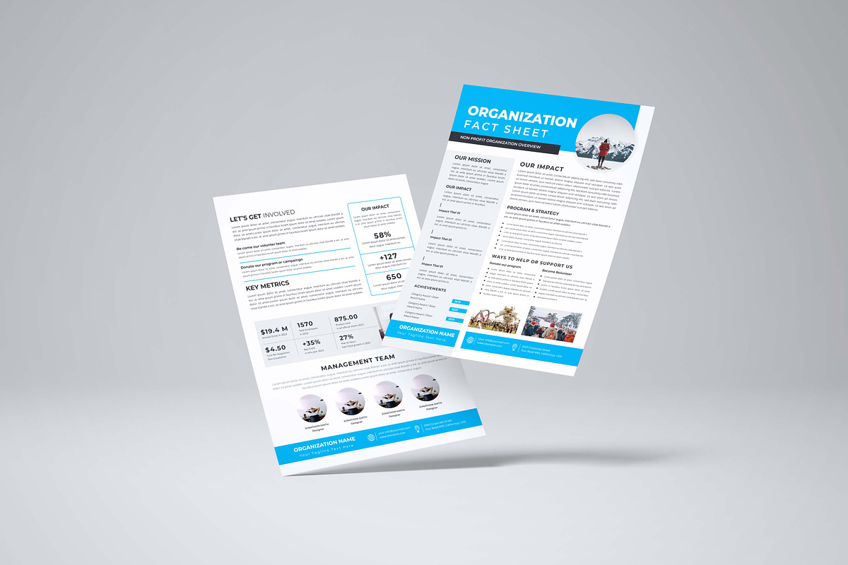 Nonprofit Organization Fact Sheet, a Flyer Template by design_hut