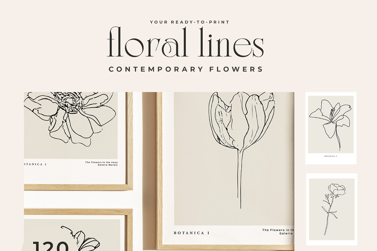 Contemporary Line Art Library