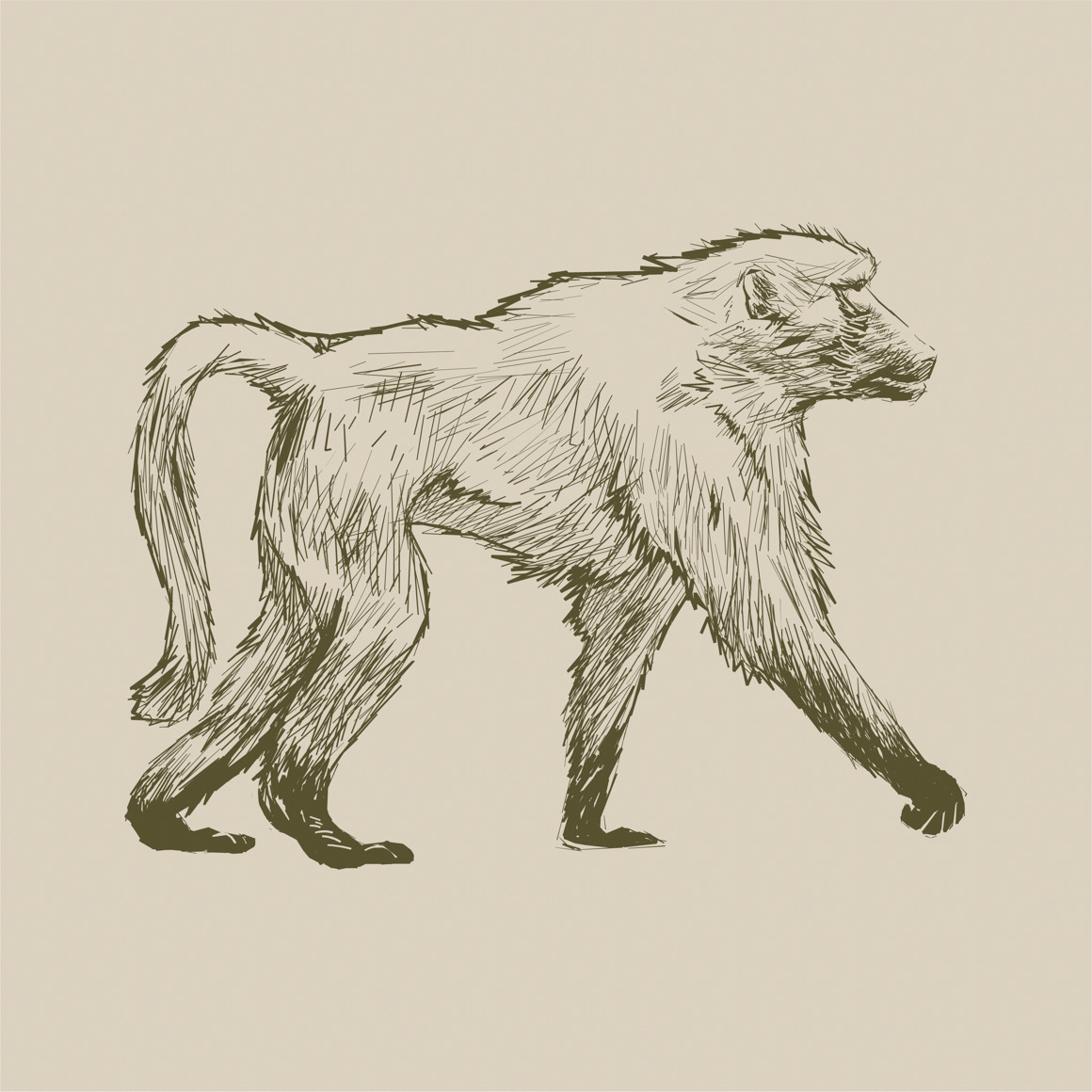 Illustration drawing of monkey, an Animal Illustration by rawpixel