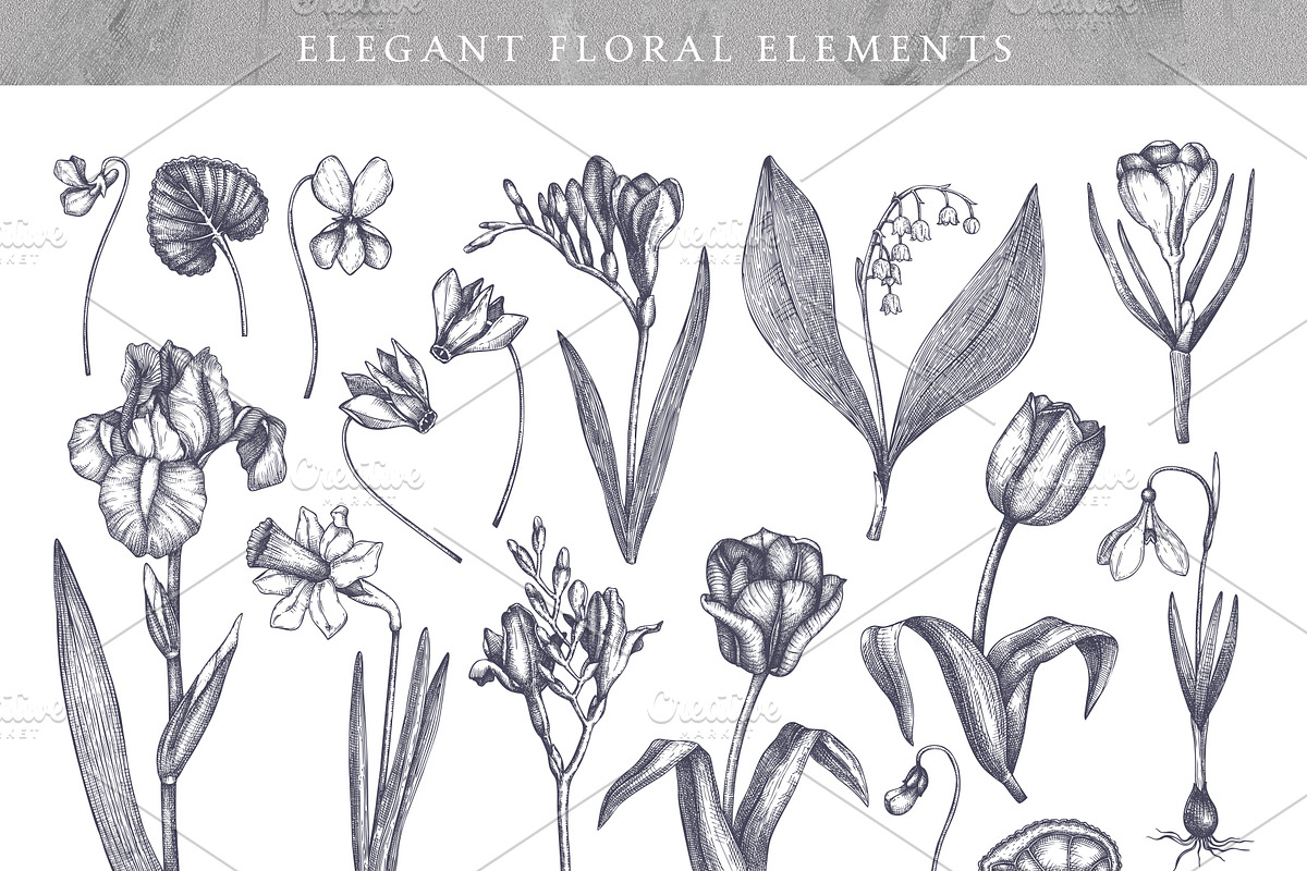 Hand Drawn Spring Flowers Set