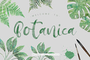 Botanica Regular & OpentypeSVG, a Serif Font by maghrib