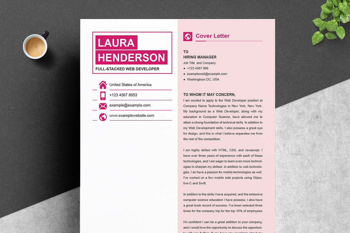 Job Application Resume Example