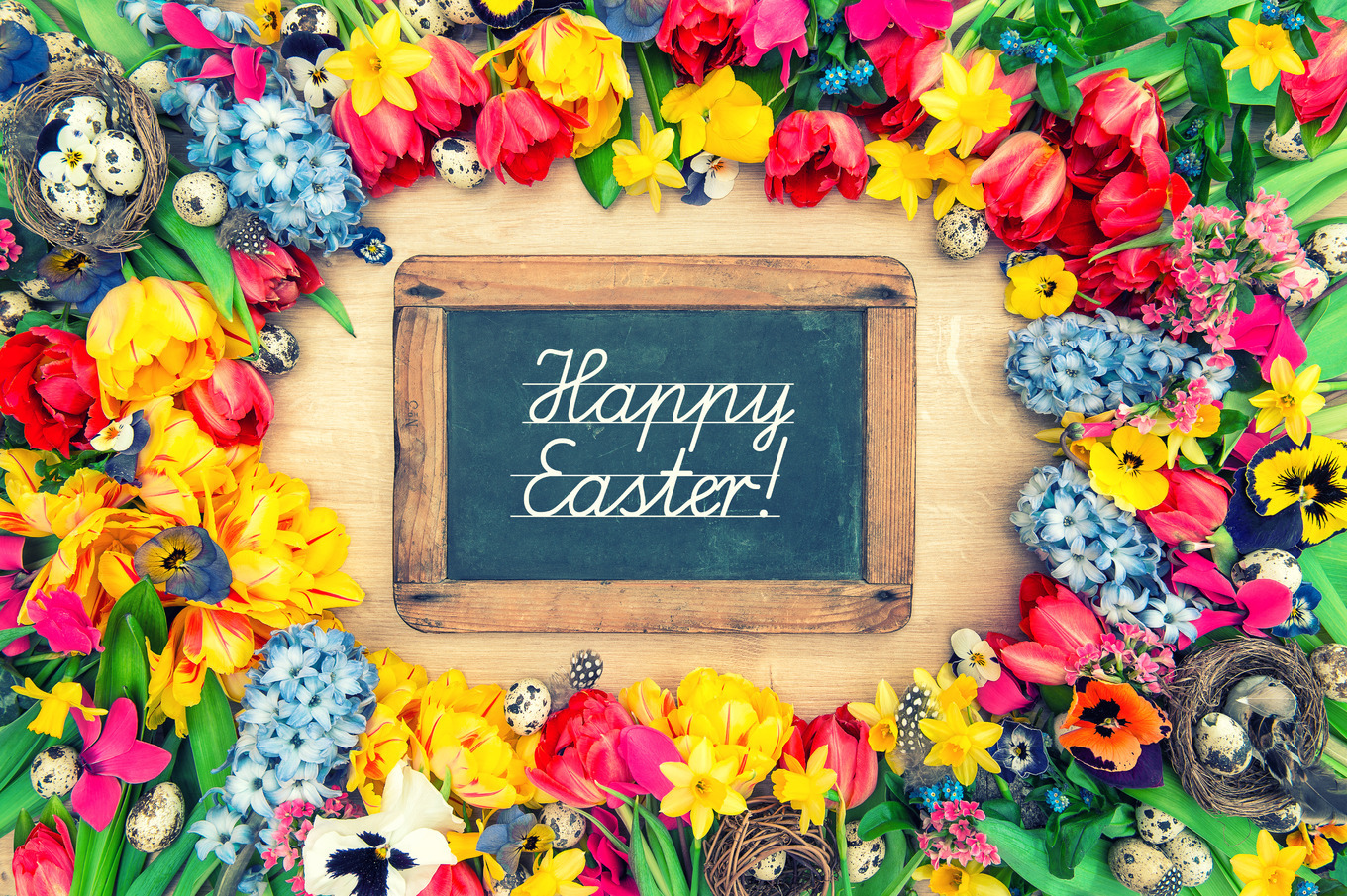 Spring flowers and easter eggs containing spring, flower, and easter, a ...