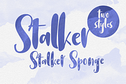 Stalker, a Script Font by groens | Creative Market