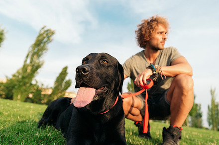 Man having fun with his dog featuring dog, man, and pet, an Animal ...