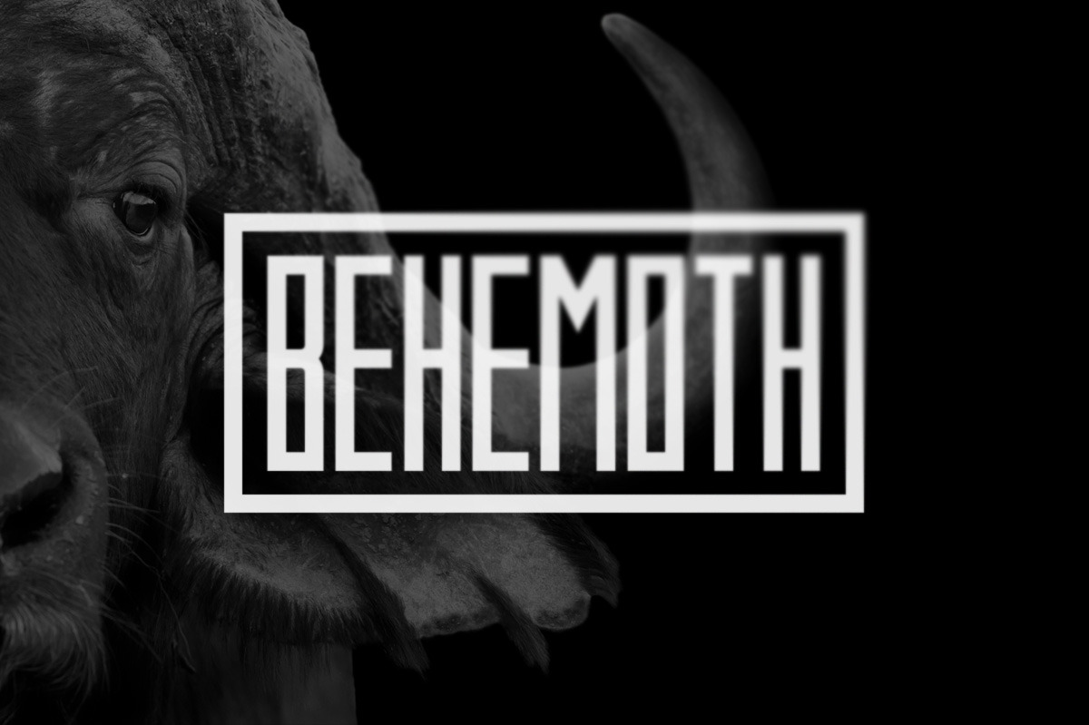 Behemoth Typeface, a Font by Tugcu Design Co.