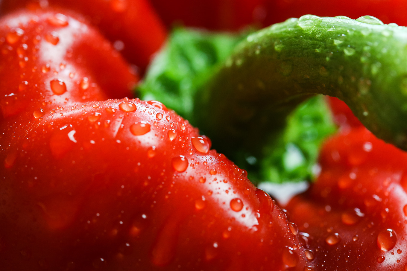 Red paprika with drops close up stock photo containing close up and ...