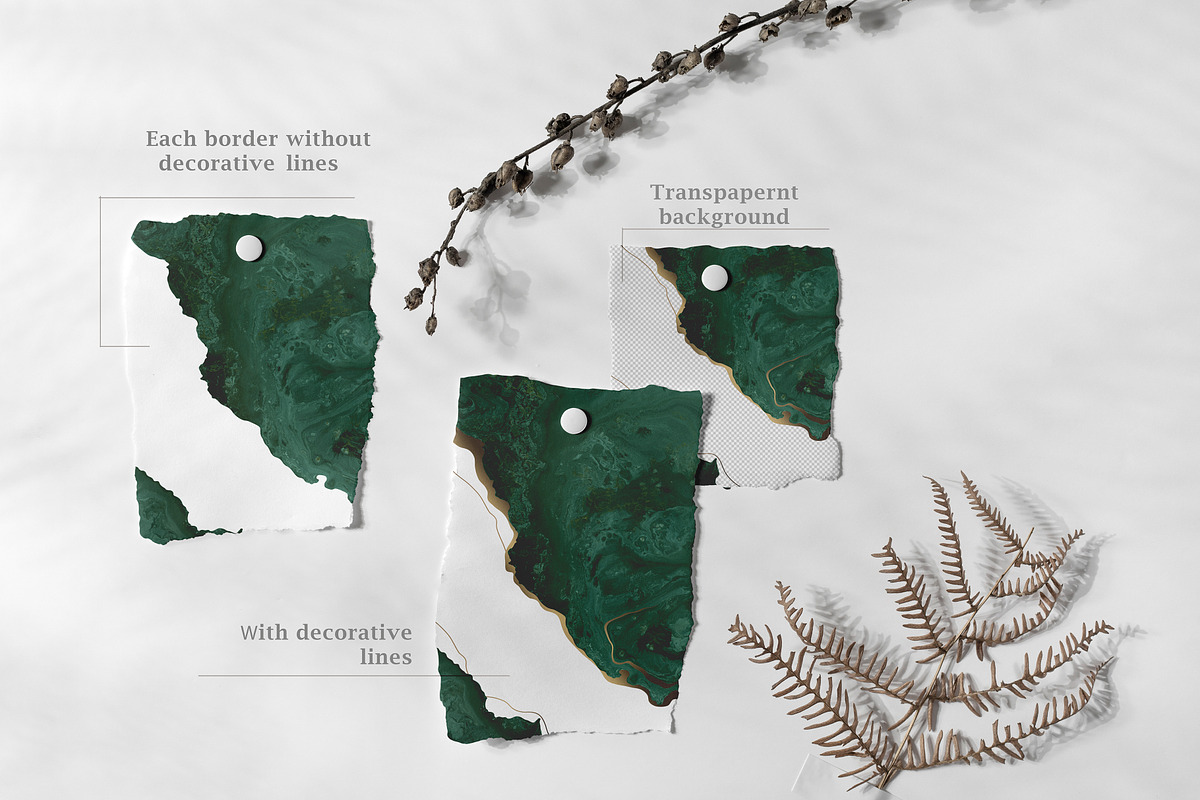 Green and Gold Fluid Art Borders PNG