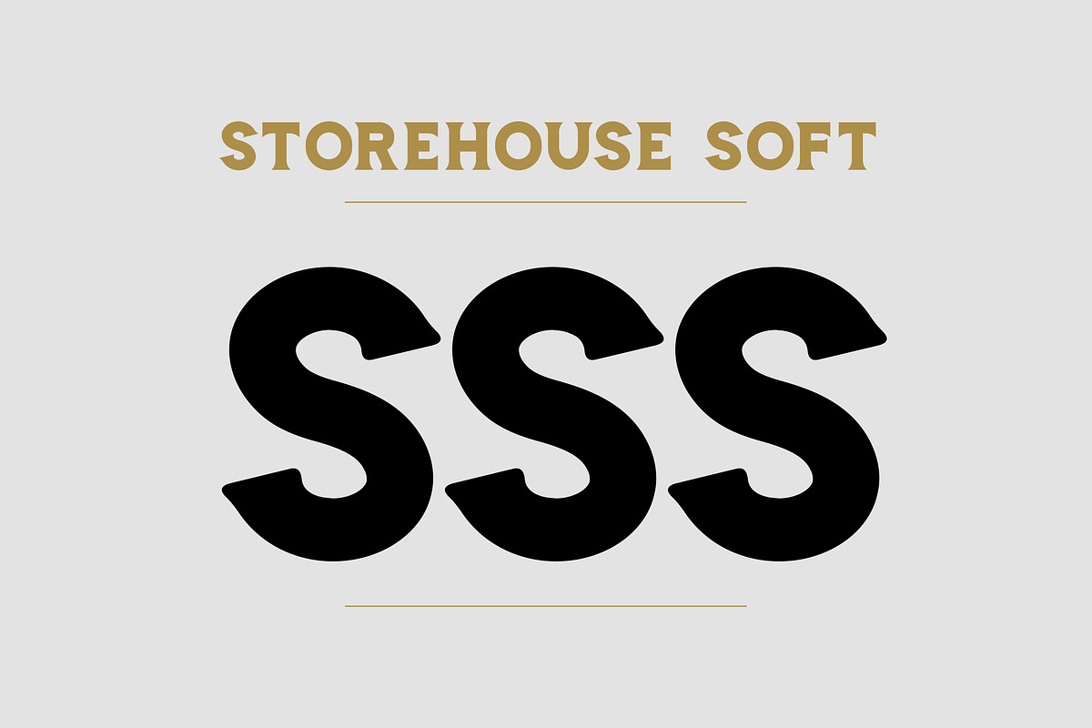 Storehouse Font + Vector shapes, a Serif Font by LeoSupply.co