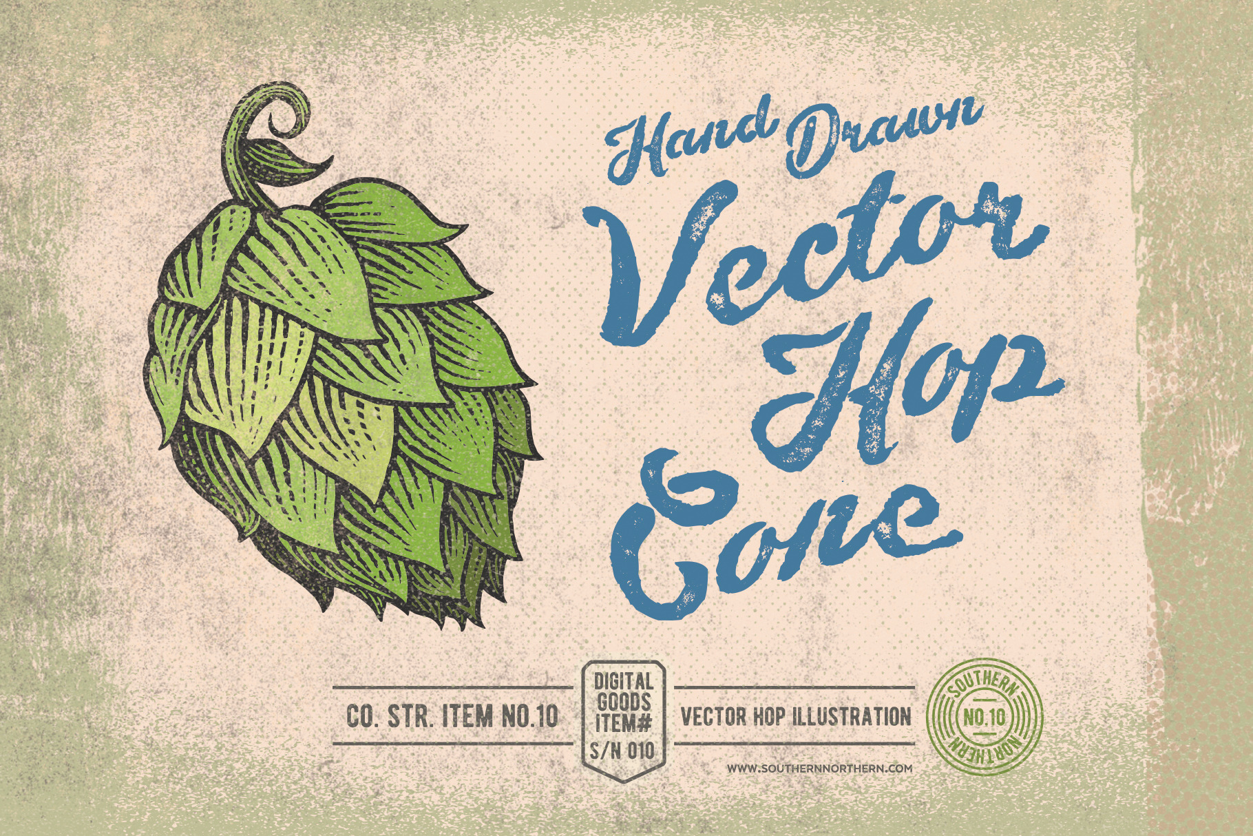 Hand Drawn Vector Hop Cone, an Illustration by Southern Northern ...