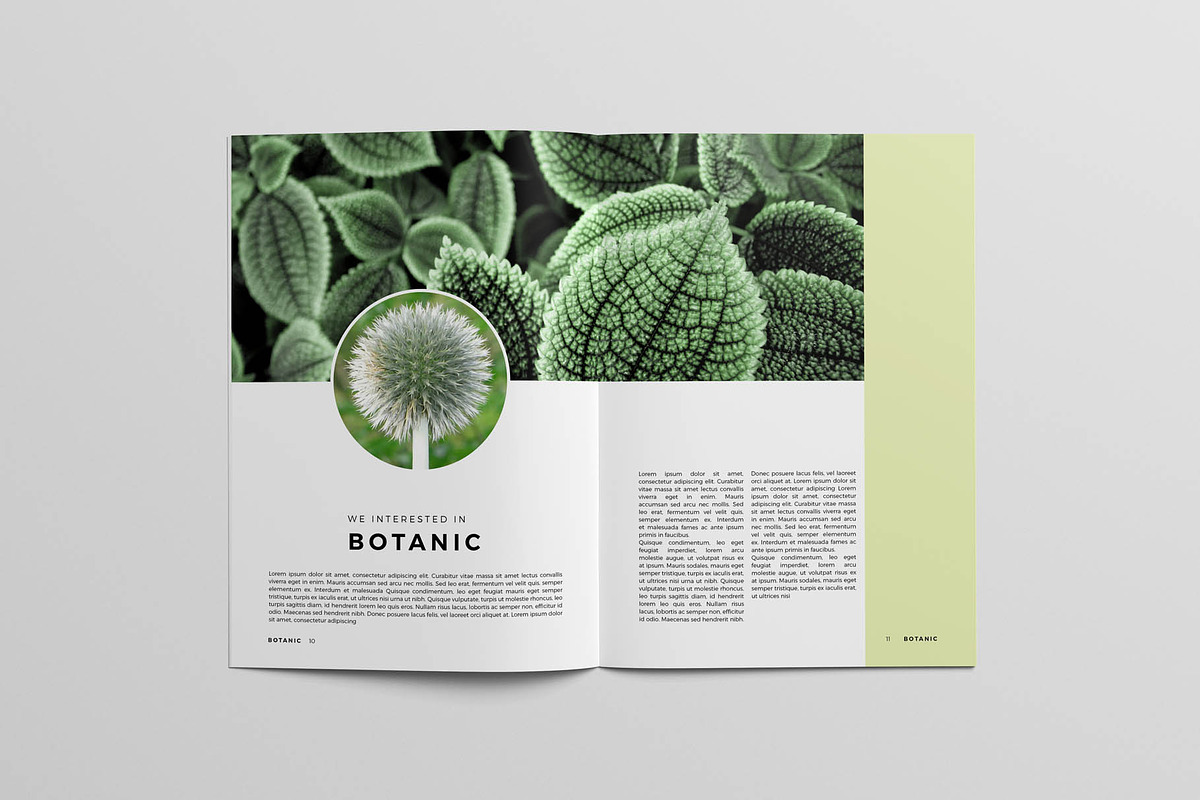 Botanic Magazine, a Magazine Template by New Lines