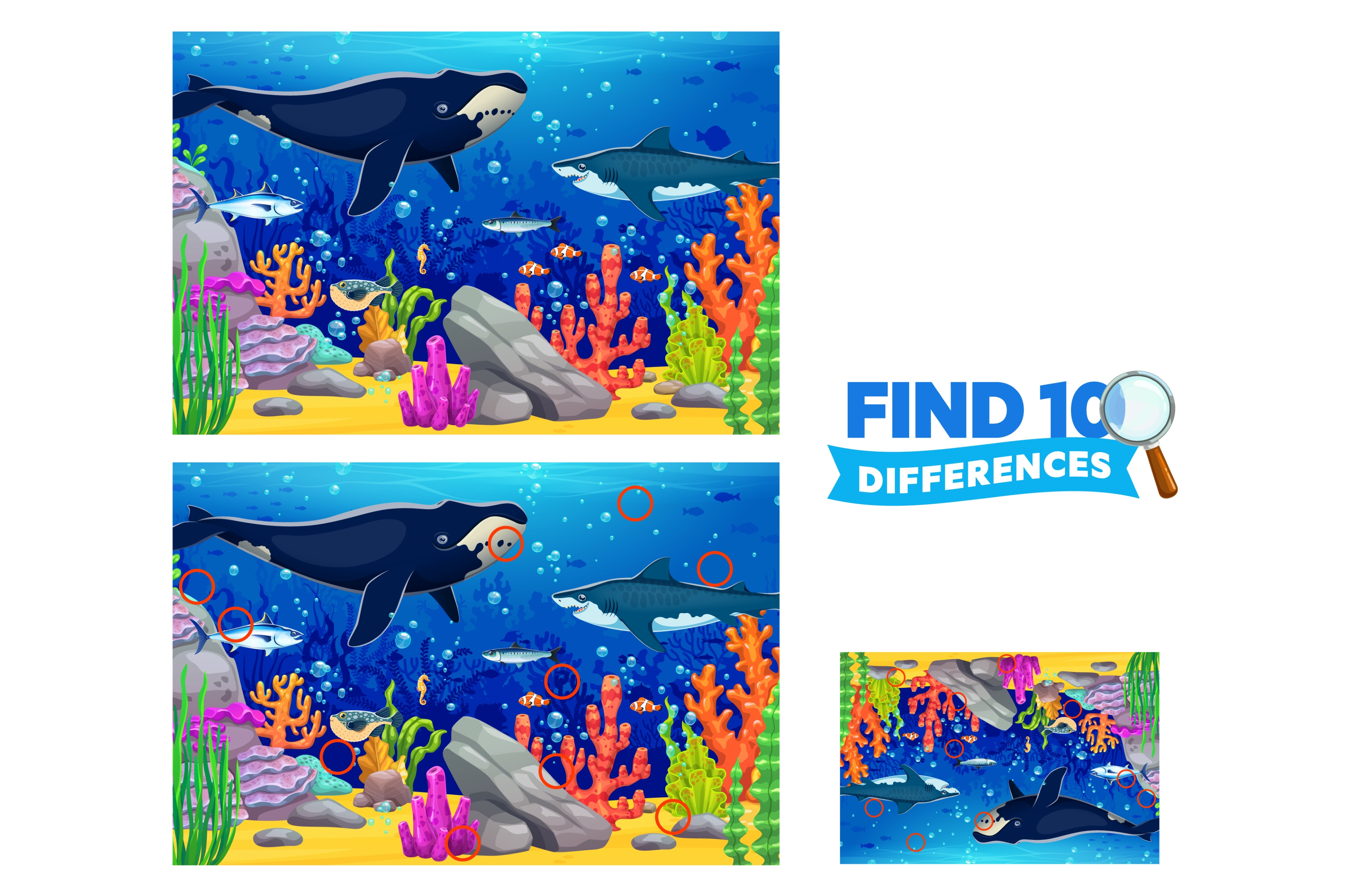 Find differences game worksheet, an Animal Illustration by Vector Tradition