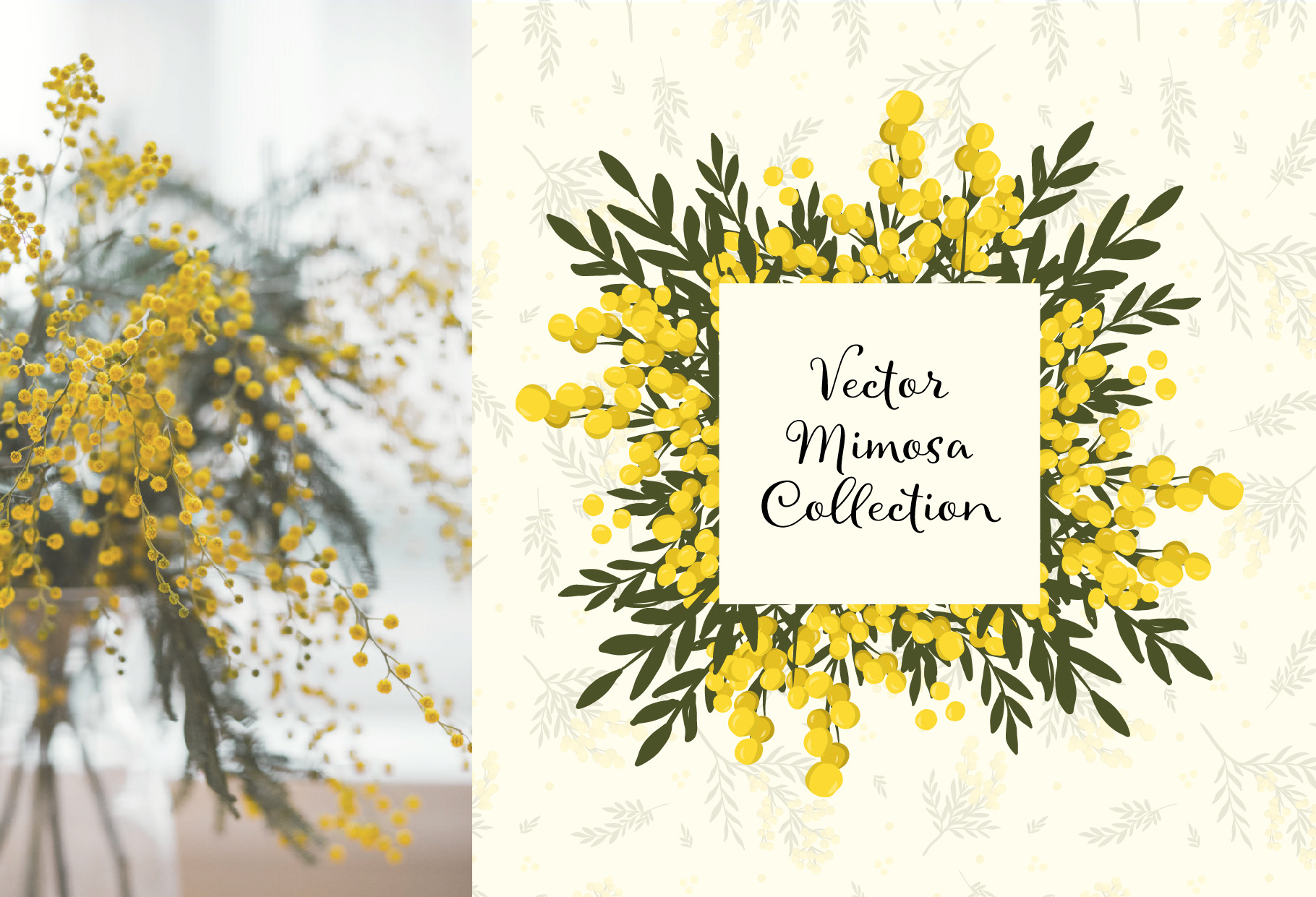 Vector Mimosa Flowers Collection, a Graphic by iragraphics | Creative ...
