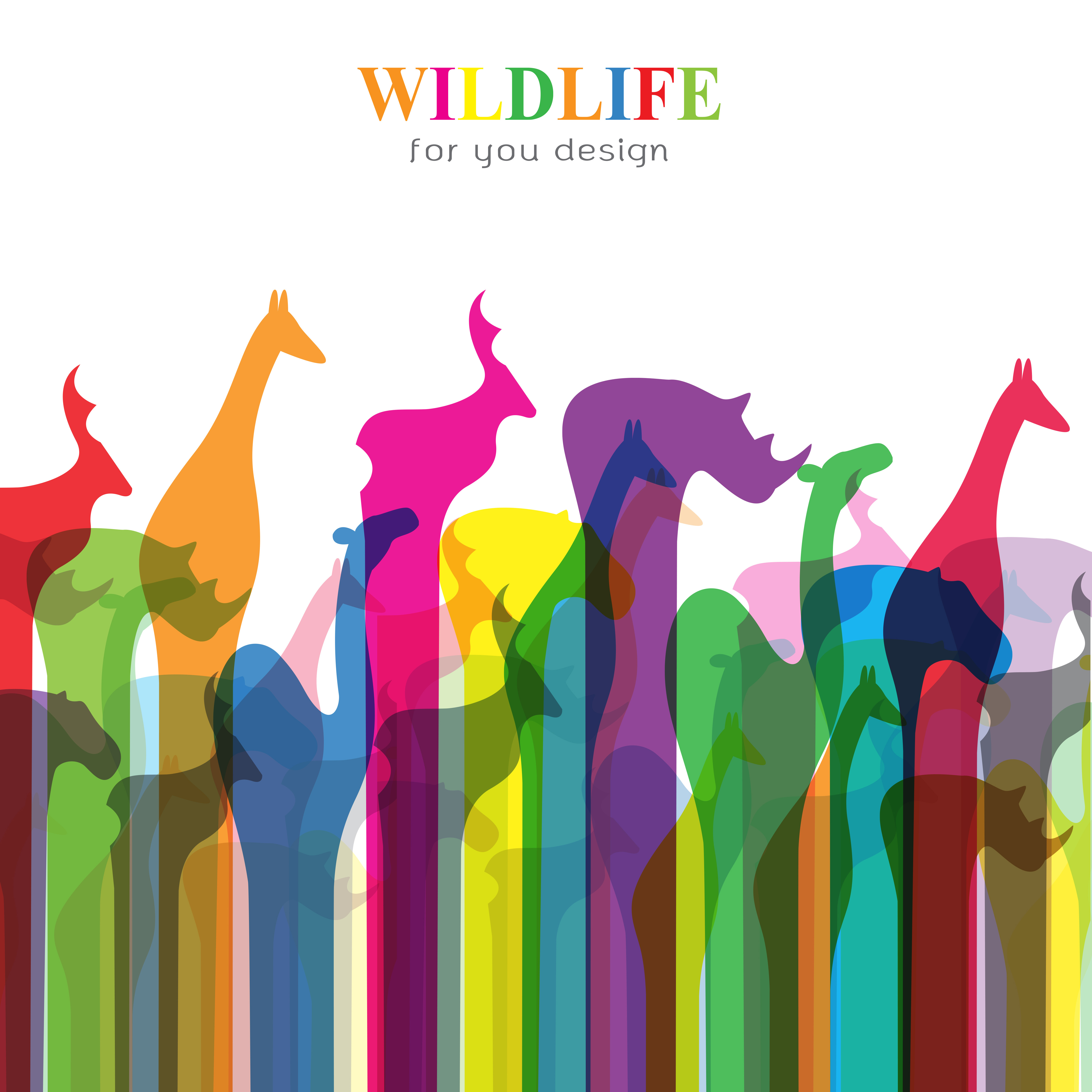 Vector image of an animal groups., an Animal Illustration by yod67