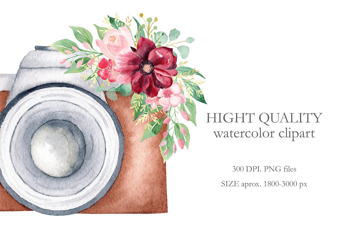 Watercolor Vintage Cameras Set, a Decorative Illustration by ...