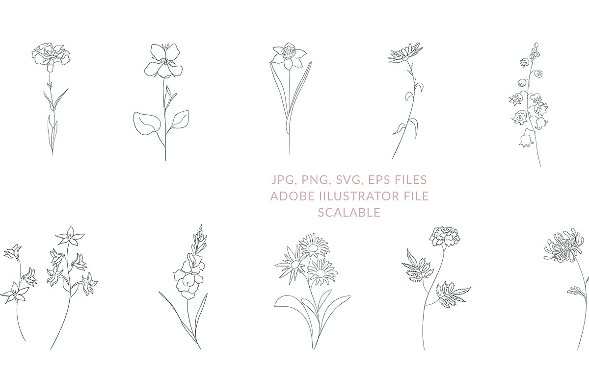 Flower birth line art illustration, a Decorative Illustration by ...