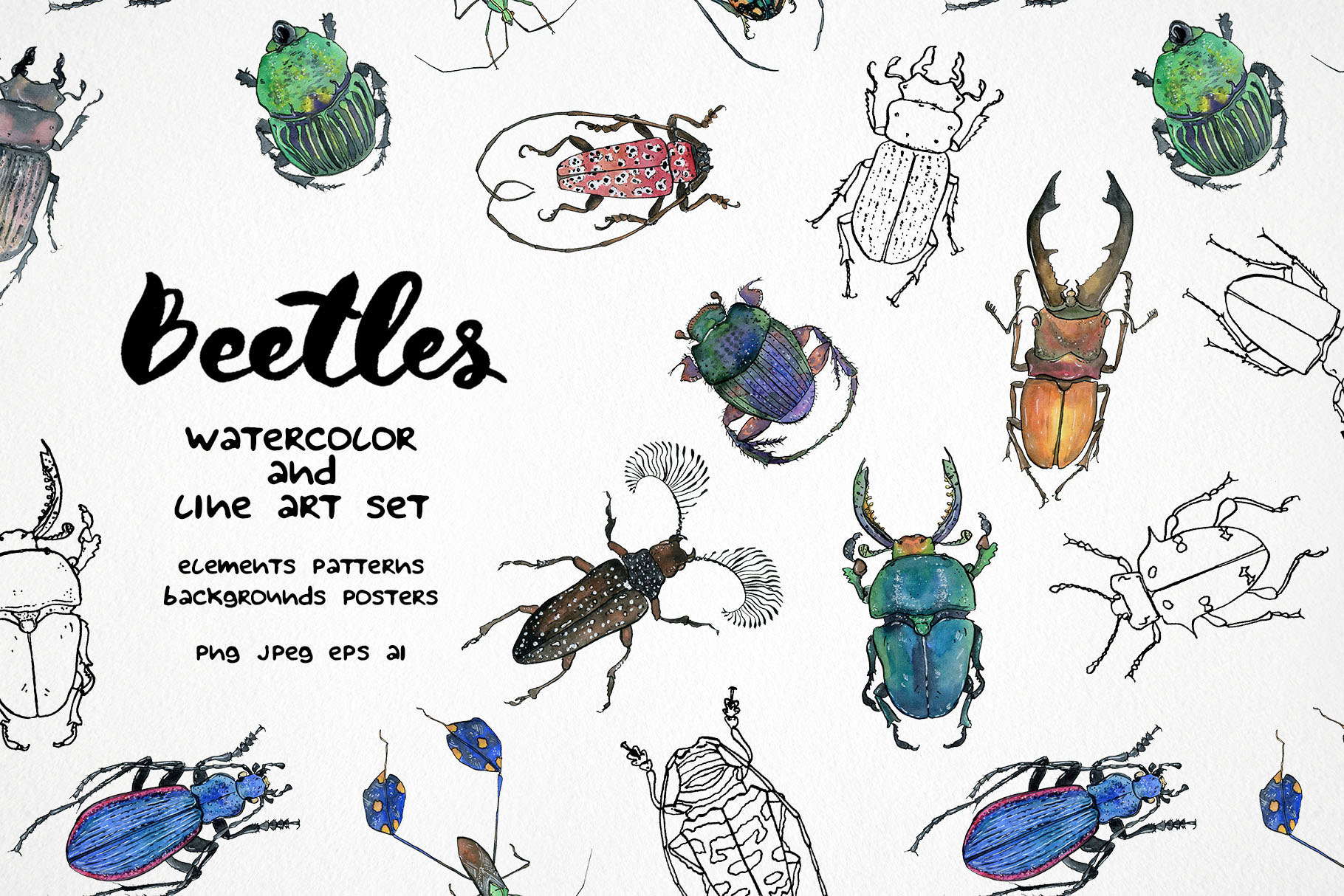 Watercolor bug clipart, insect set, an Animal Illustration by ...