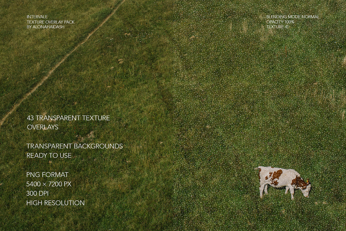 Intervale - Texture Overlay Pack, a Texture Graphic by alonahaidash