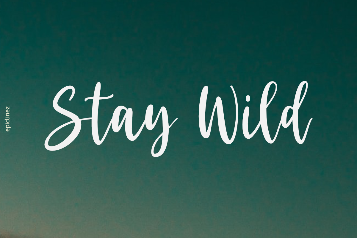 Stay Wild | Handwritten Font, a Script Font by Epiclinez